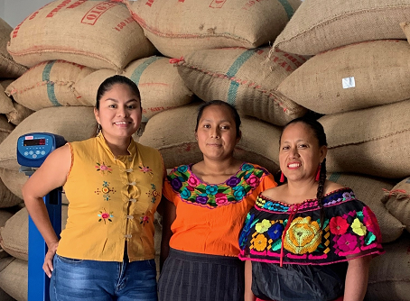Mexico Origin Trip: Mayan Harvest - Servant Coffee